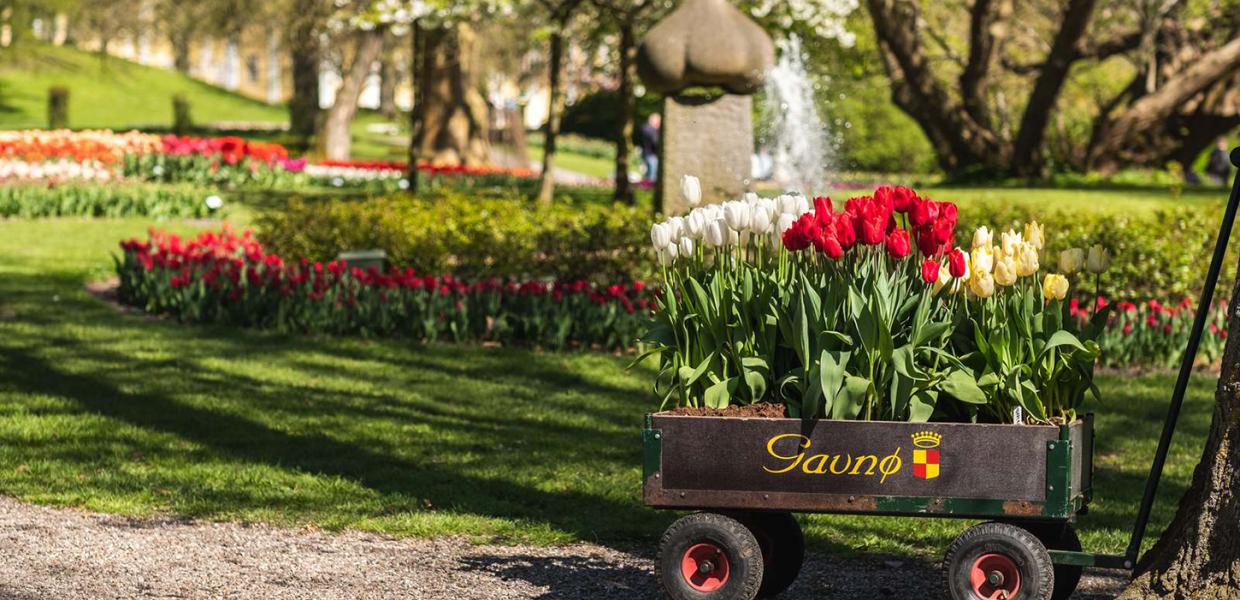 Mød Gavnø Slots Baronesse Helle Reedtz-Thott | Sydsjælland & Møn